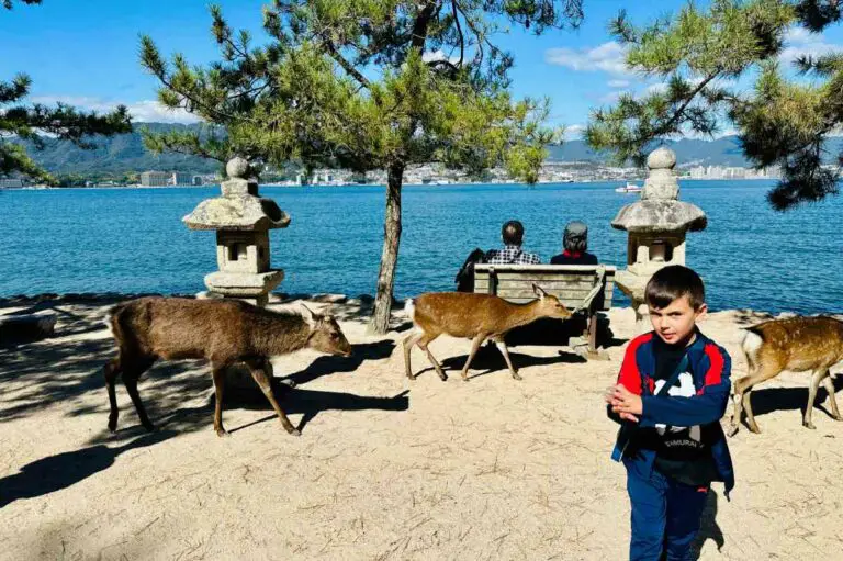 Is Miyajima Worth Visiting?