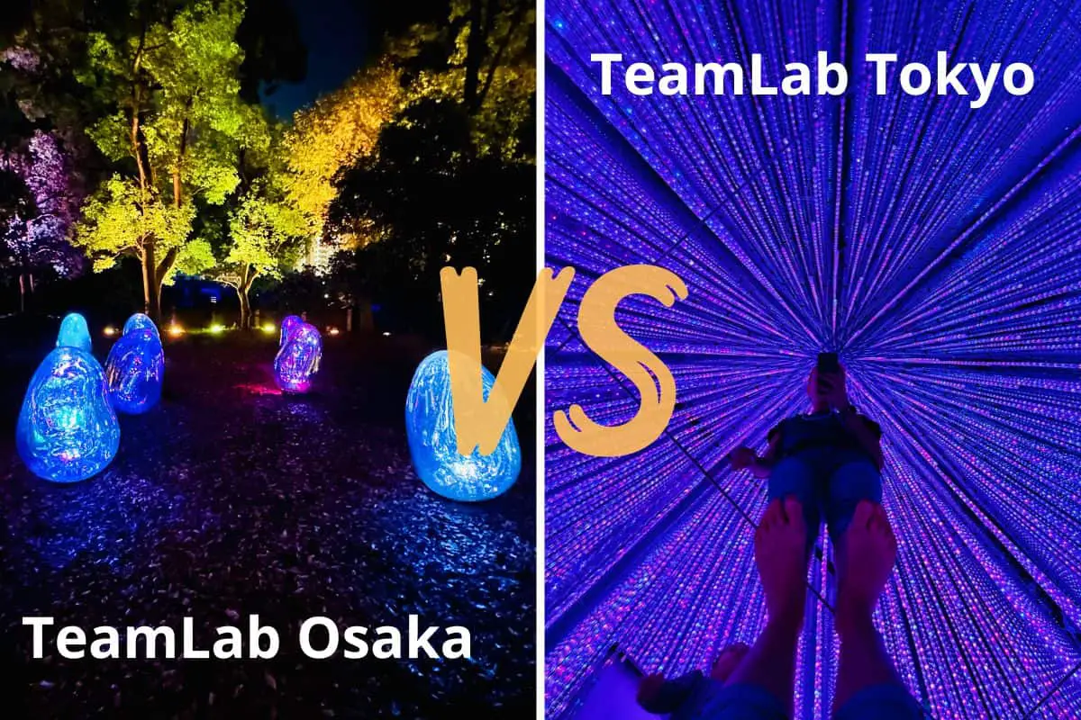 TeamLab Osaka vs. TeamLab Planets (Tokyo): Which is Better?