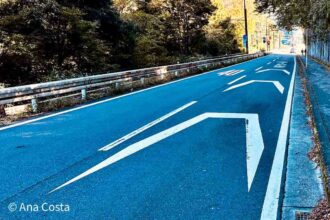 Driving in Japan: The Complete Guide for First Timers