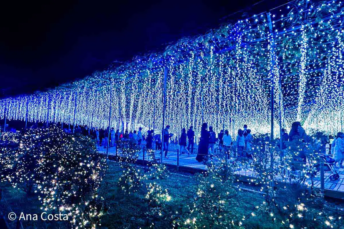 Christmas in Japan: A Curious Tradition That Surprises Everyone