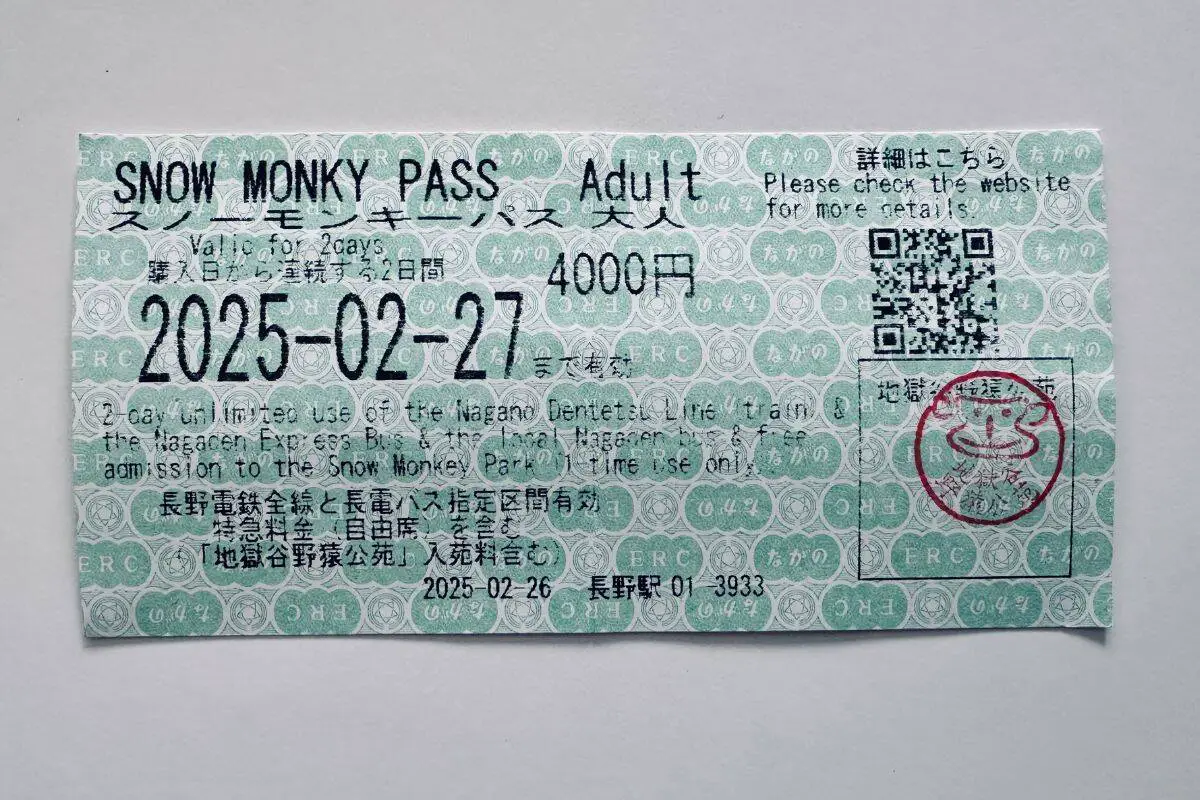 Snow Monkey Park Day Trip: Everything You Need to Know